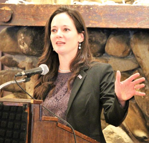 State Rep. Borowicz talks about her first month in office | News ...